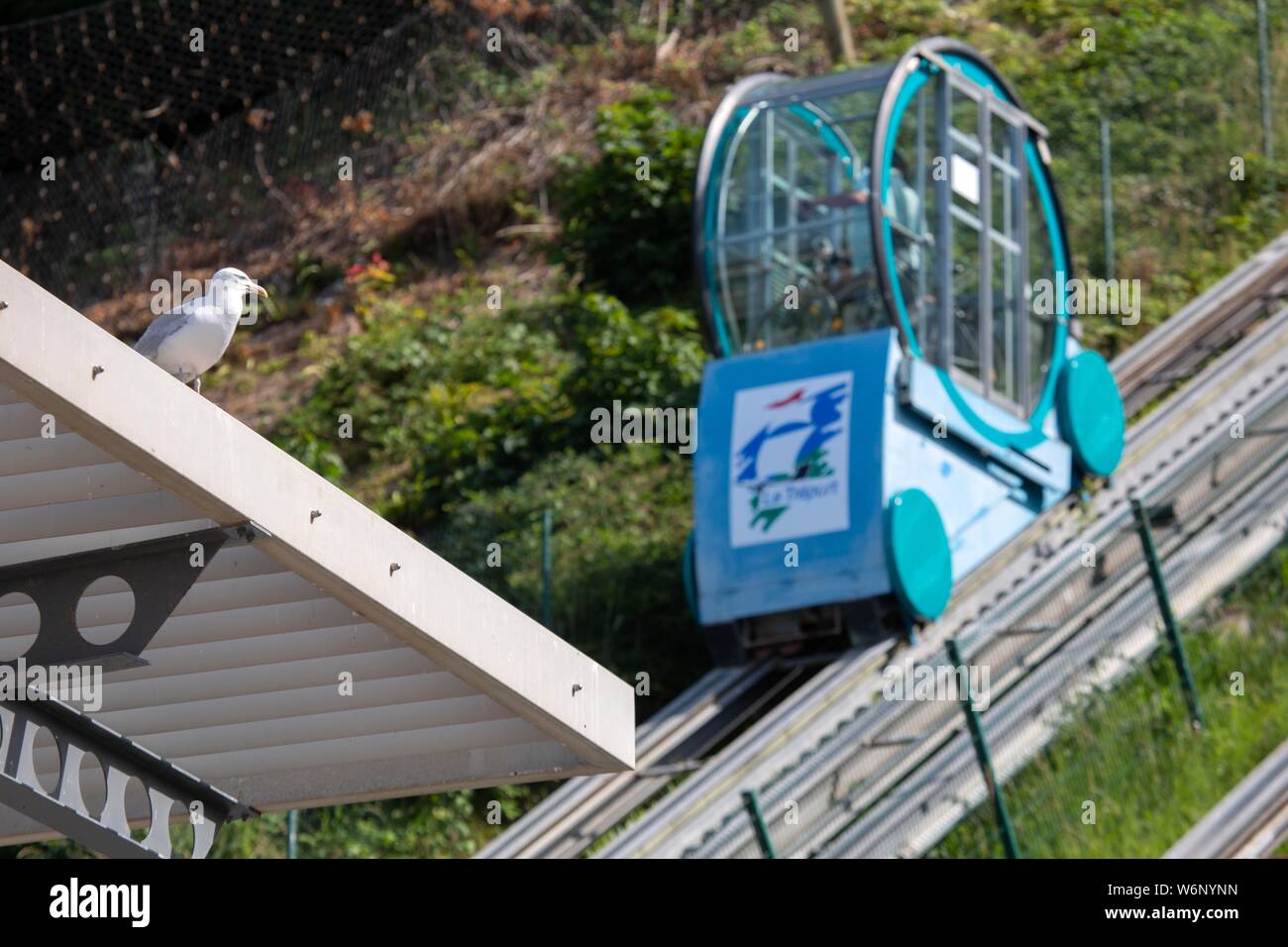 Seagulltransport hi-res stock photography and images - Alamy