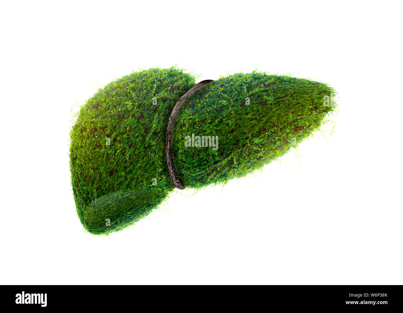 Realistic liver images are human green tree shapes about diseases and ...