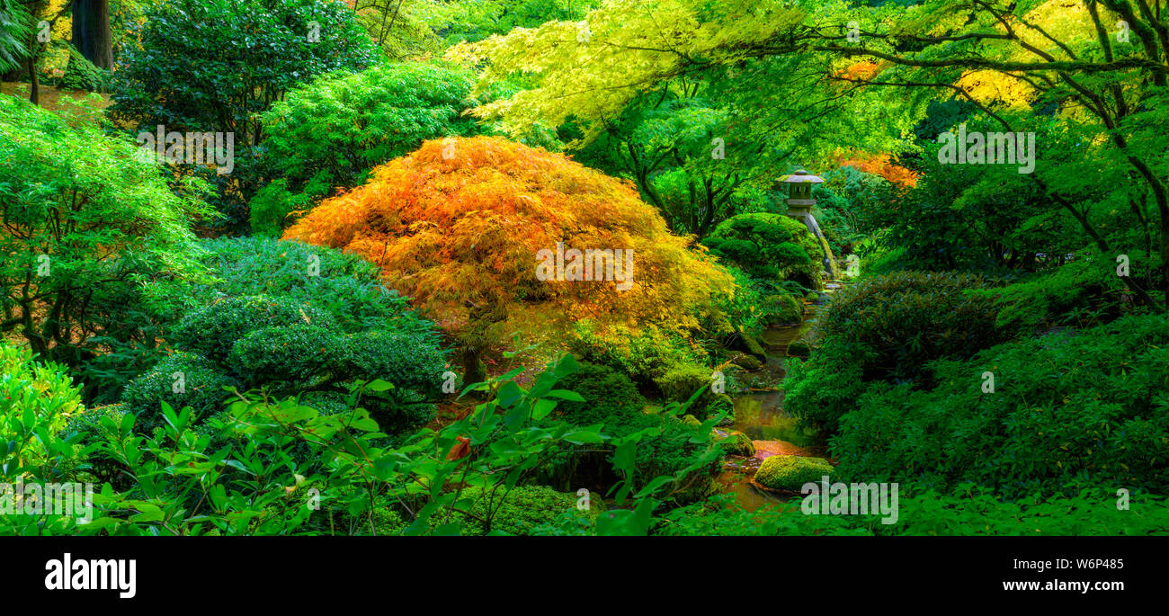 Portland japanese gardens hi-res stock photography and images - Alamy