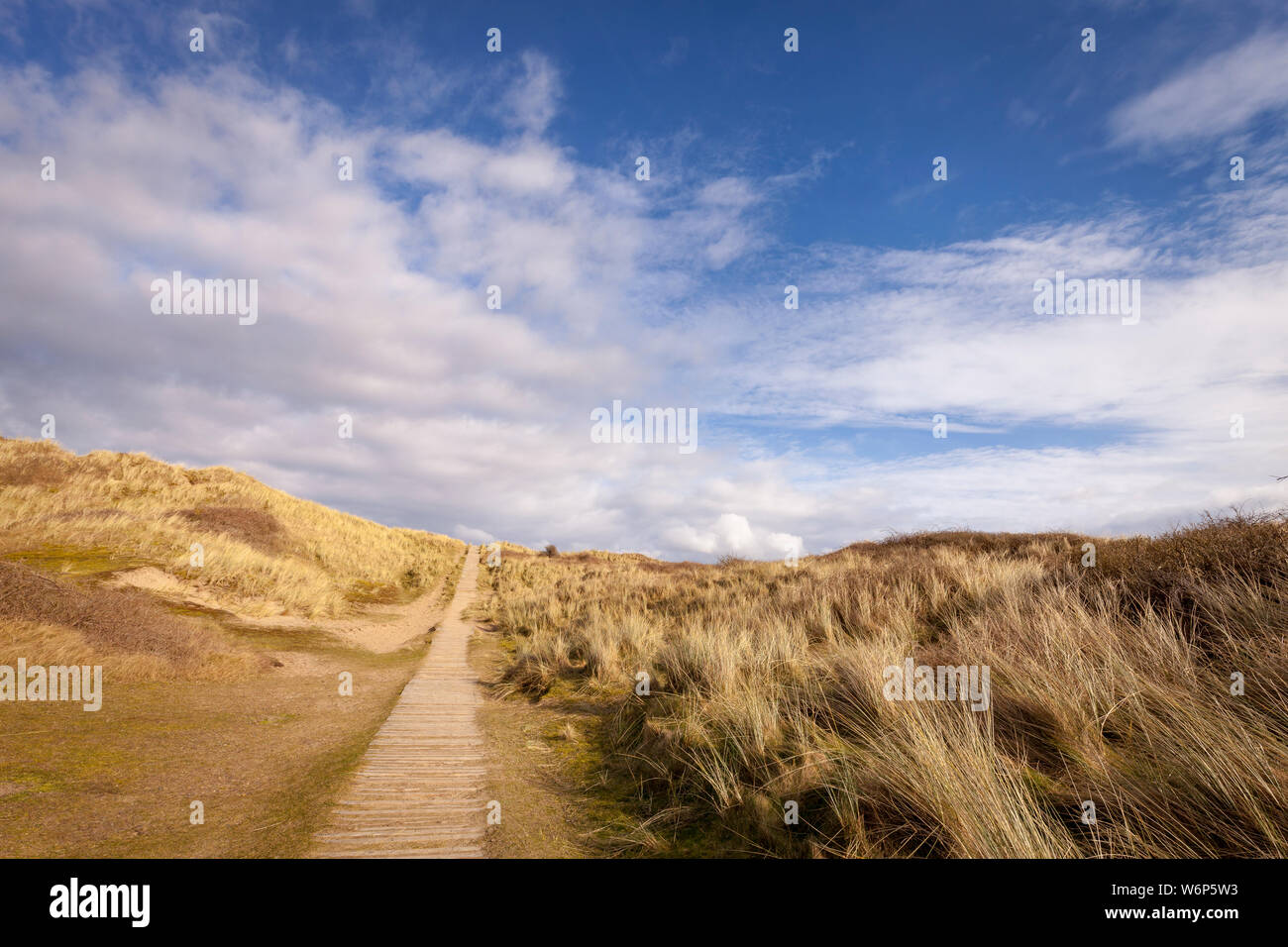 Sand dunes at Braunton Burrows nature reserve, North Devon, UK Stock ...