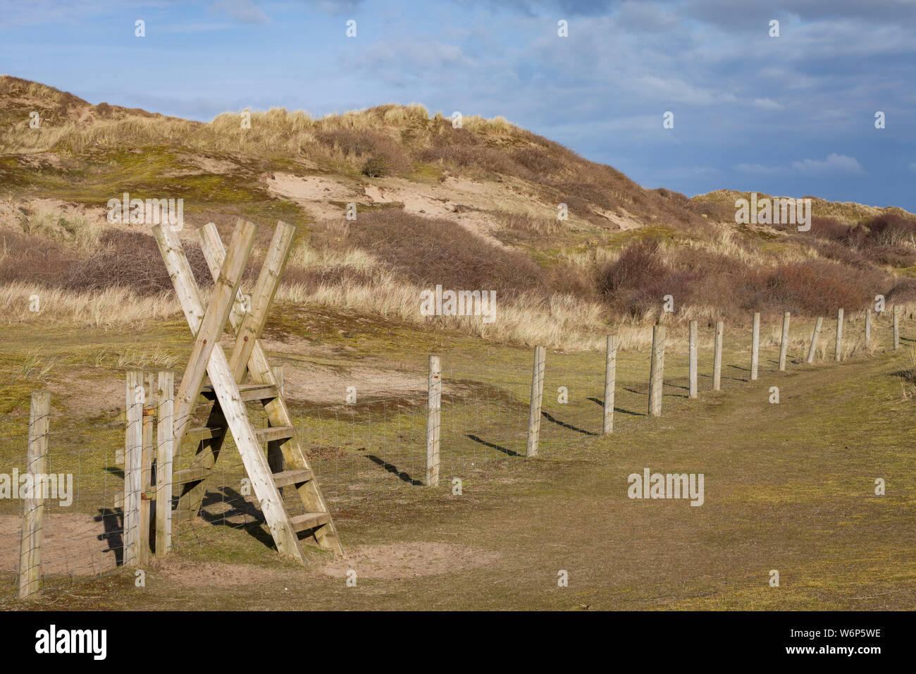 Sand dunes at Braunton Burrows nature reserve, North Devon, UK Stock ...