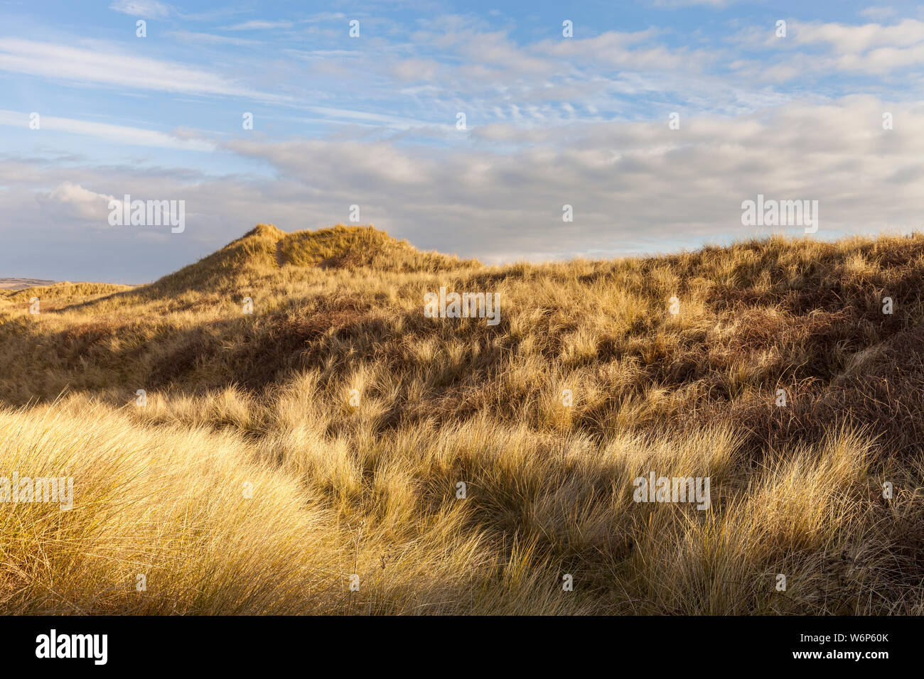 Devon sand dunes hi-res stock photography and images - Alamy