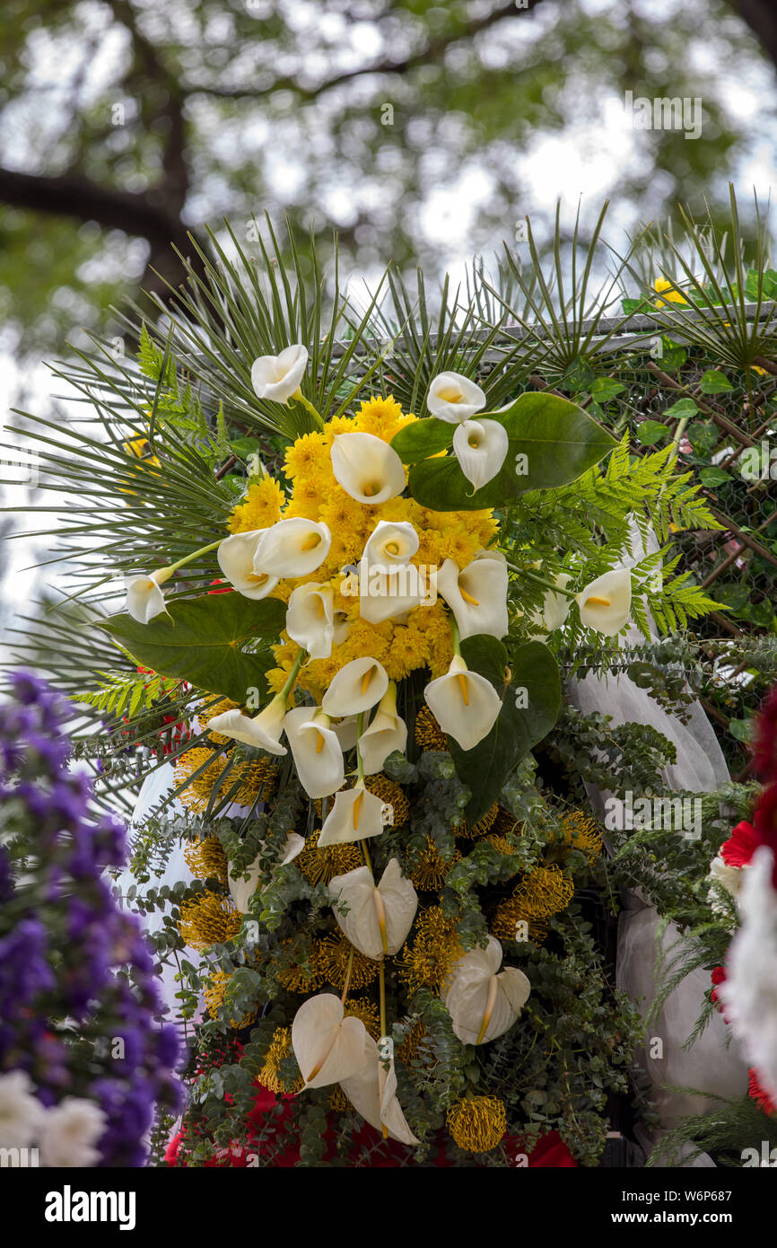 Beauty floristic decoration with colorful tropical flowers Stock Photo ...
