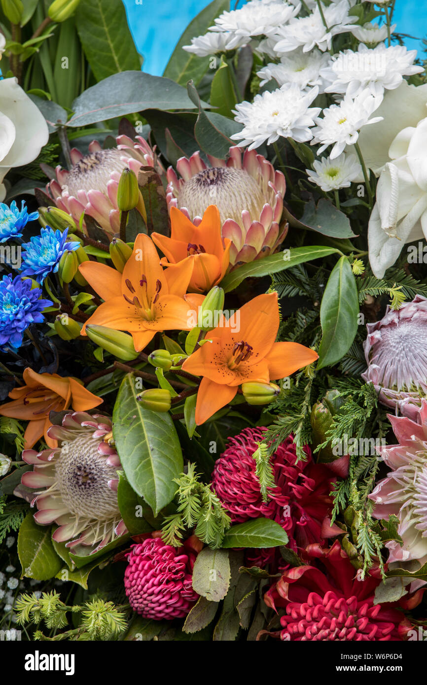 Beauty floristic decoration with colorful tropical flowers Stock Photo ...