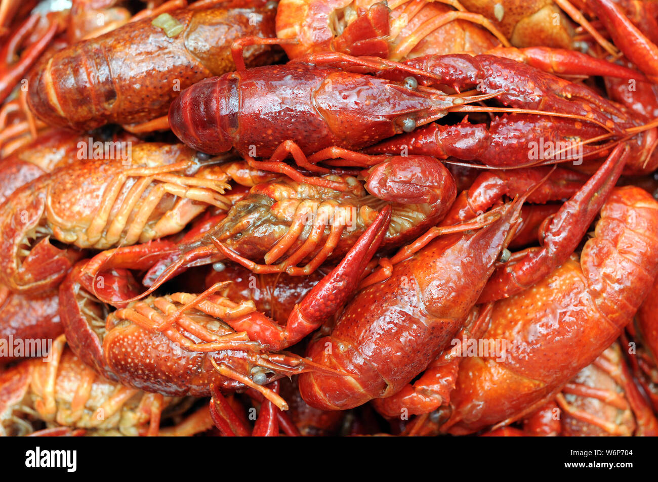 closeup boiled craw fish for background uses Stock Photo - Alamy