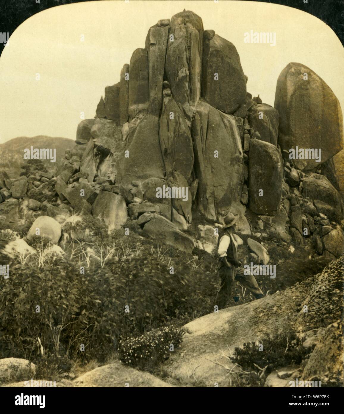 Buffalo rock company hi-res stock photography and images - Alamy
