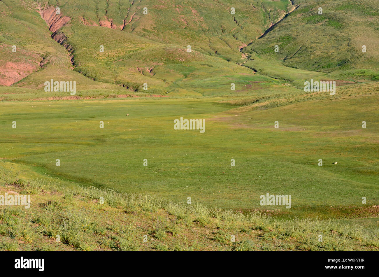 Hissar range hi-res stock photography and images - Alamy