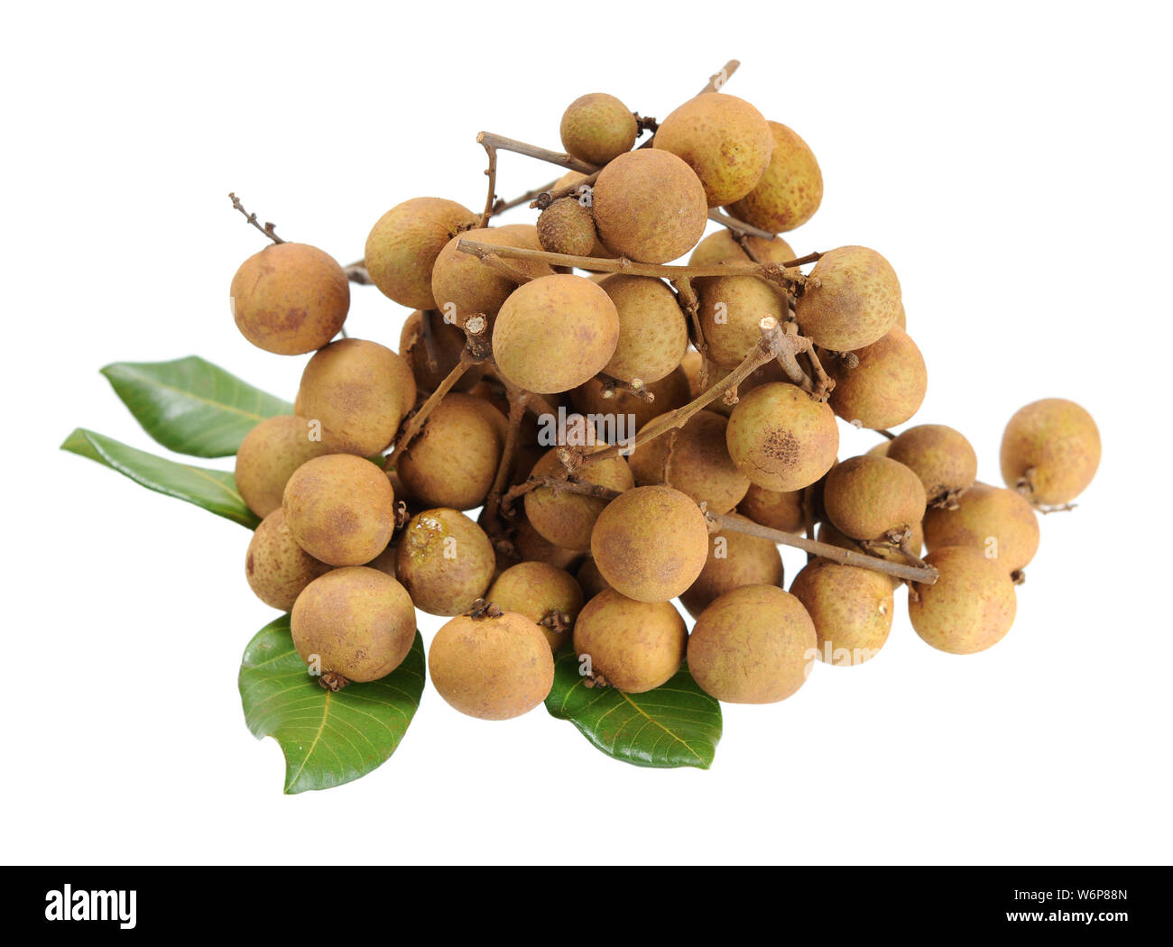 a bunch of juicy and delicious longan isolated on white background ...