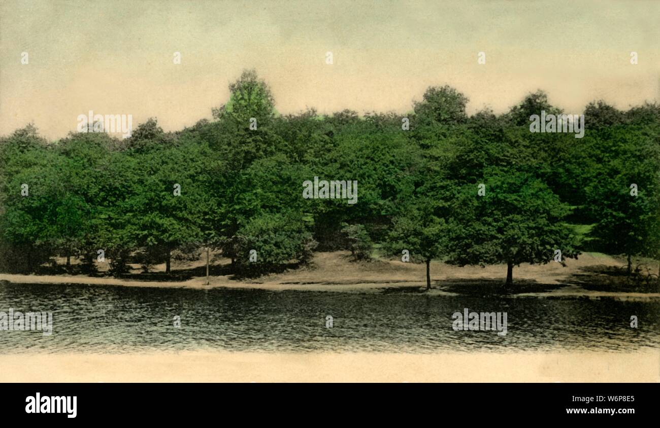 Queensmere, Wimbledon Common, London, 1903. Queensmere Pond on ...