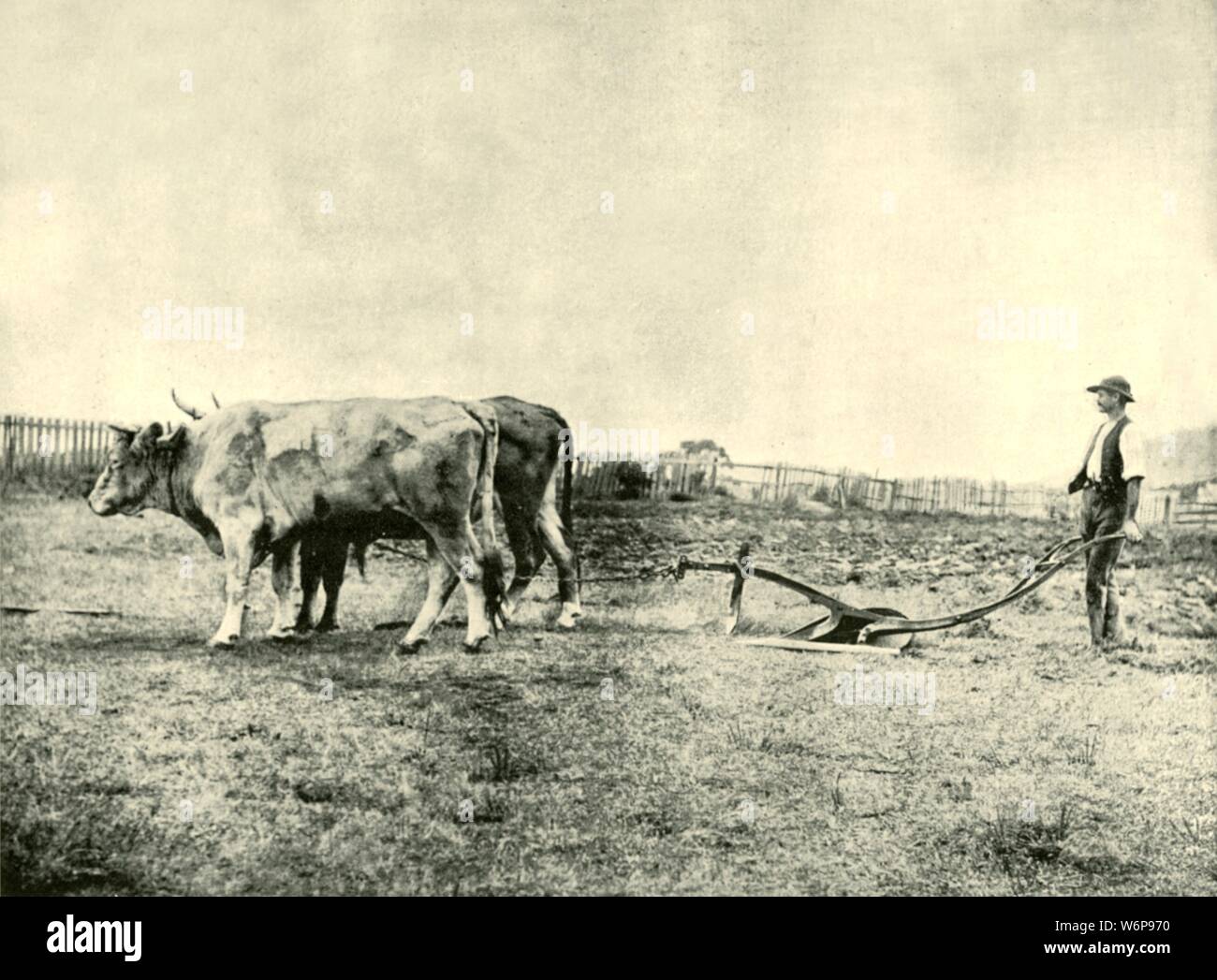 Farmer with wood plough hi-res stock photography and images - Alamy