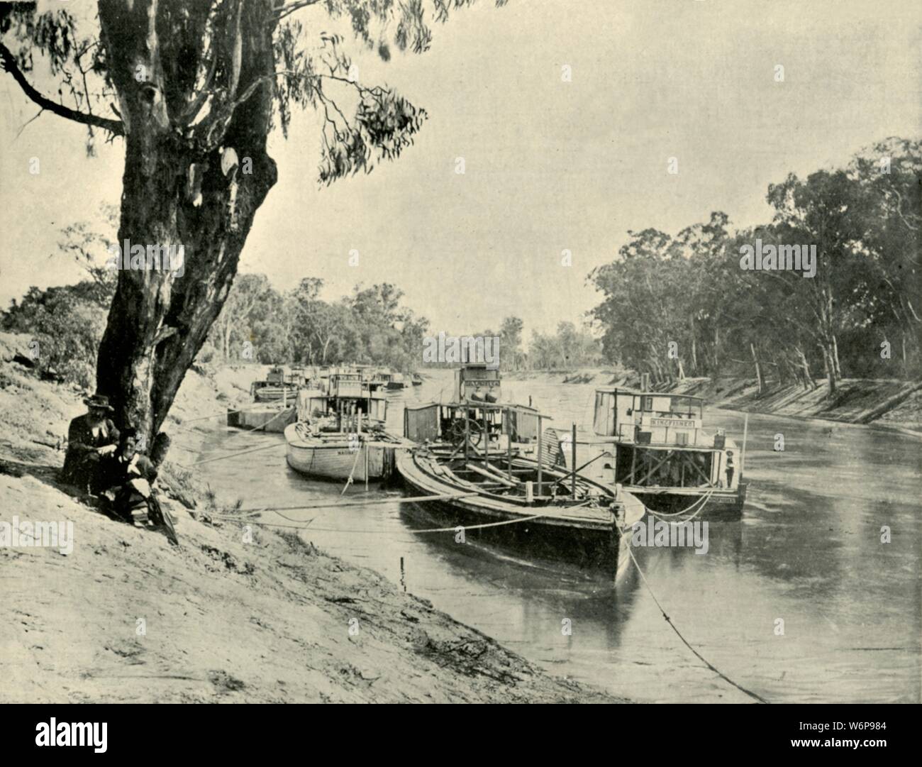 'Murray Barges and Steamboats at Echuca', 1901. Echuca on the banks of ...