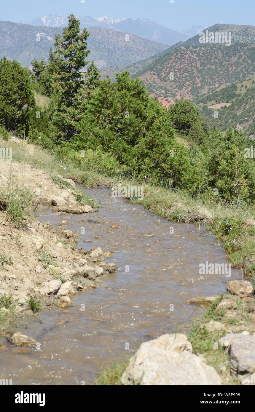 Hissar range hi-res stock photography and images - Alamy