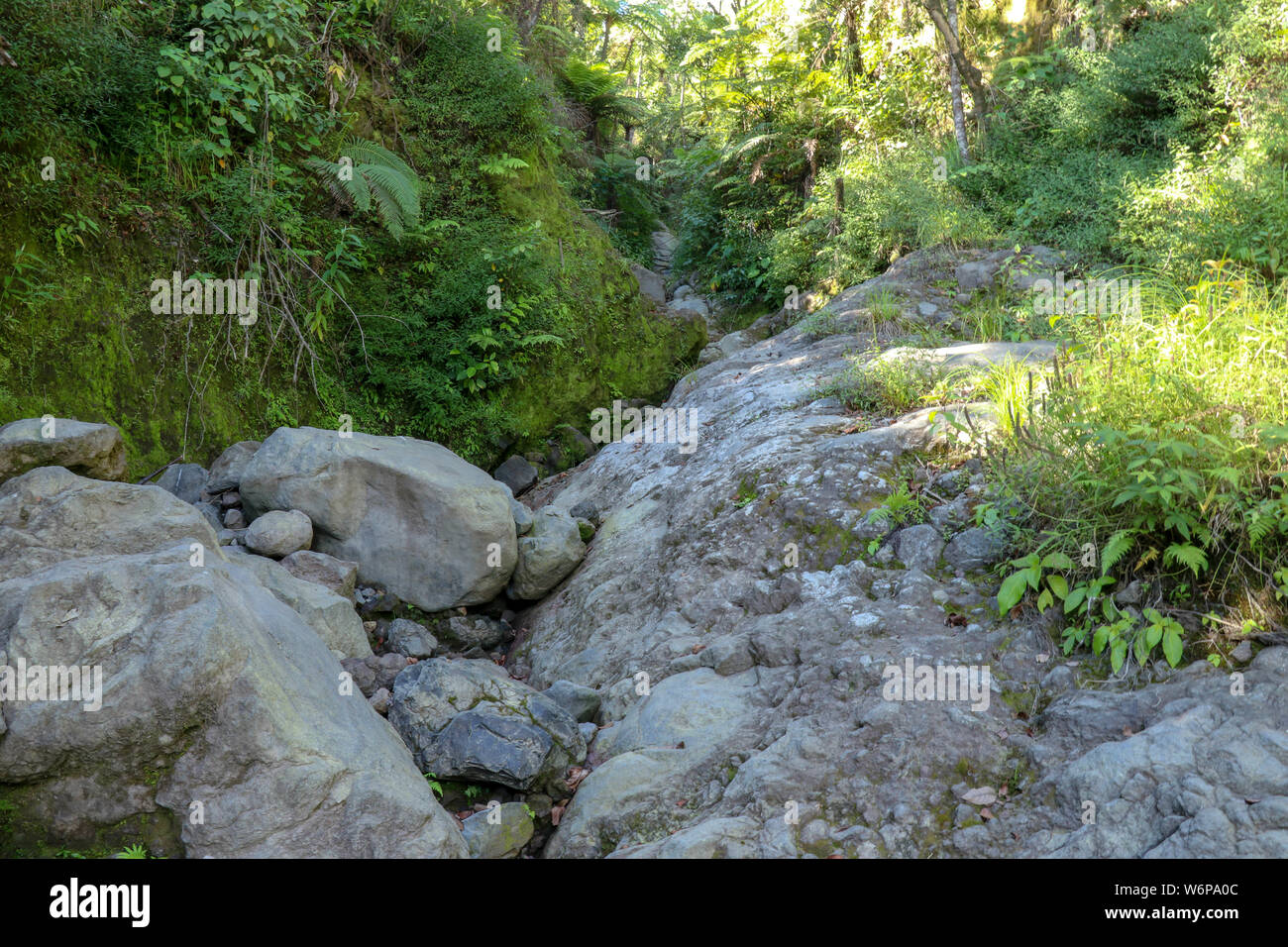 A hardened lava flow on the slope of the Agung volcano in Bali. Dry bed ...