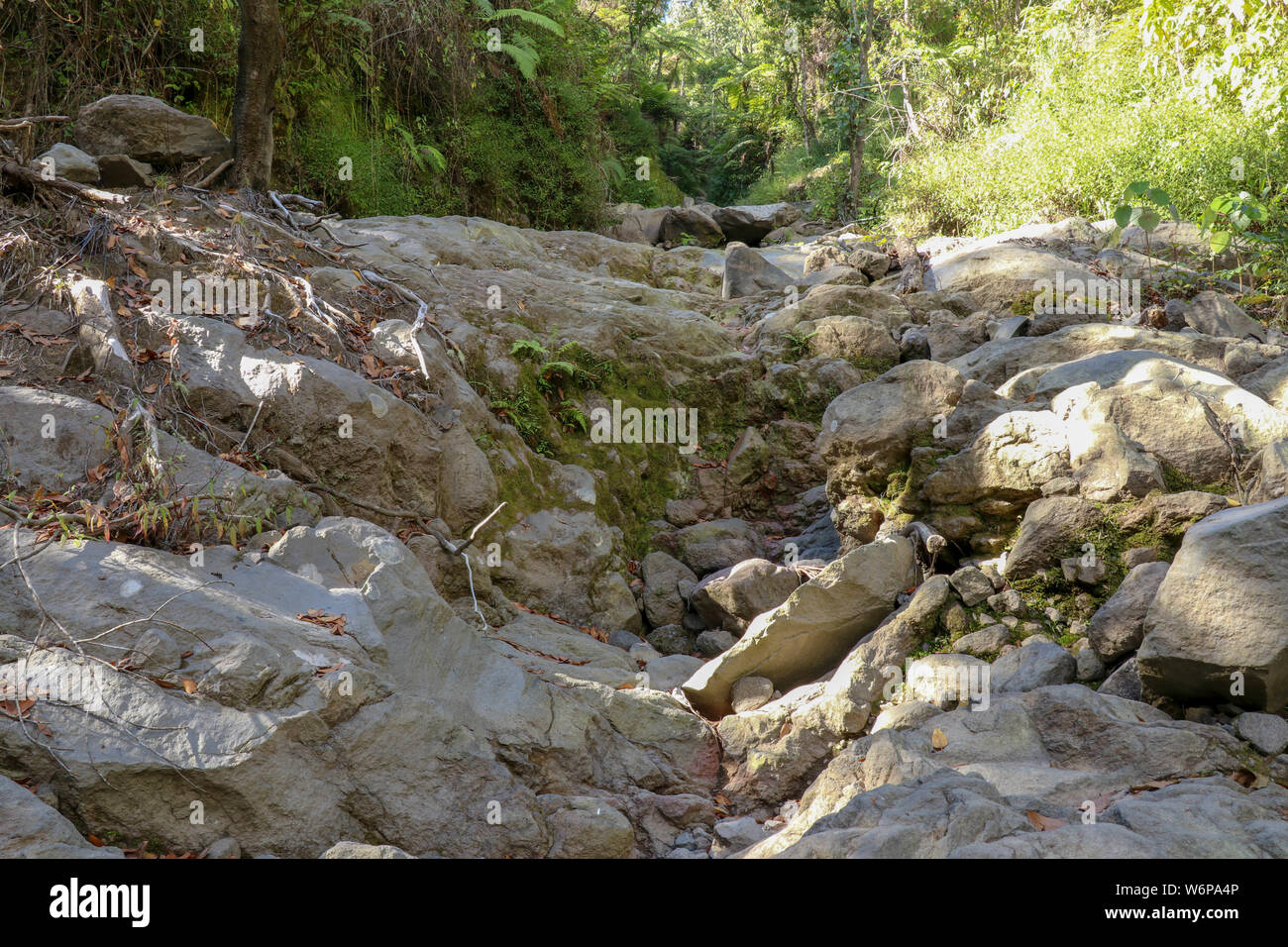 A hardened lava flow on the slope of the Agung volcano in Bali. Dry bed ...