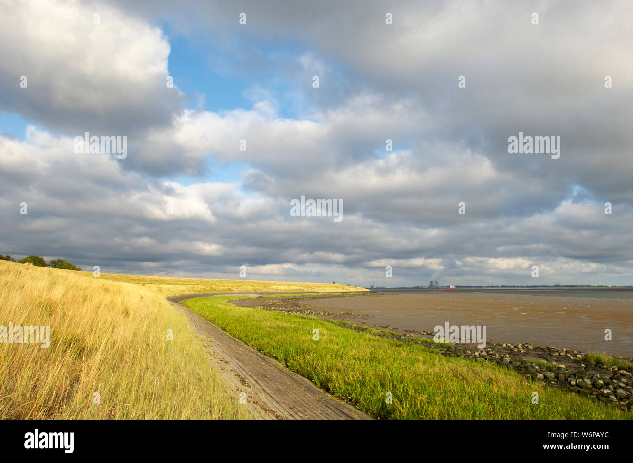 A freight ship sailing on the Western Scheldt at low tide and the dike ...