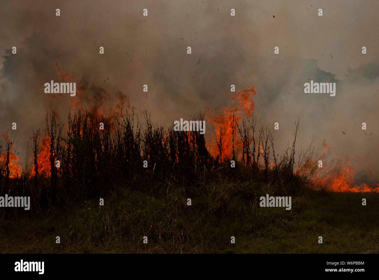 Incendi agosto roma hi-res stock photography and images - Alamy