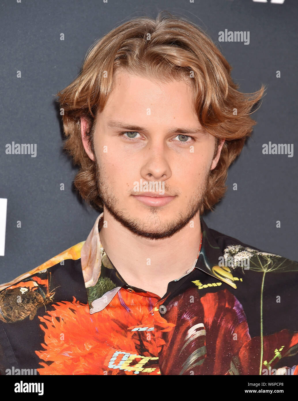 LOS ANGELES, CA - AUGUST 01: Logan Shroyer attends the Premiere Of 20th ...