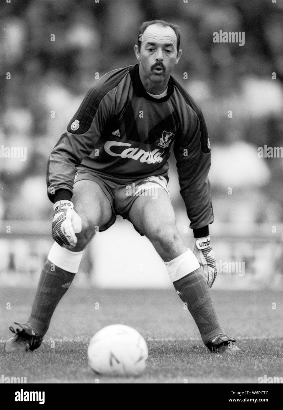 Grobbelaar hi-res stock photography and images - Alamy