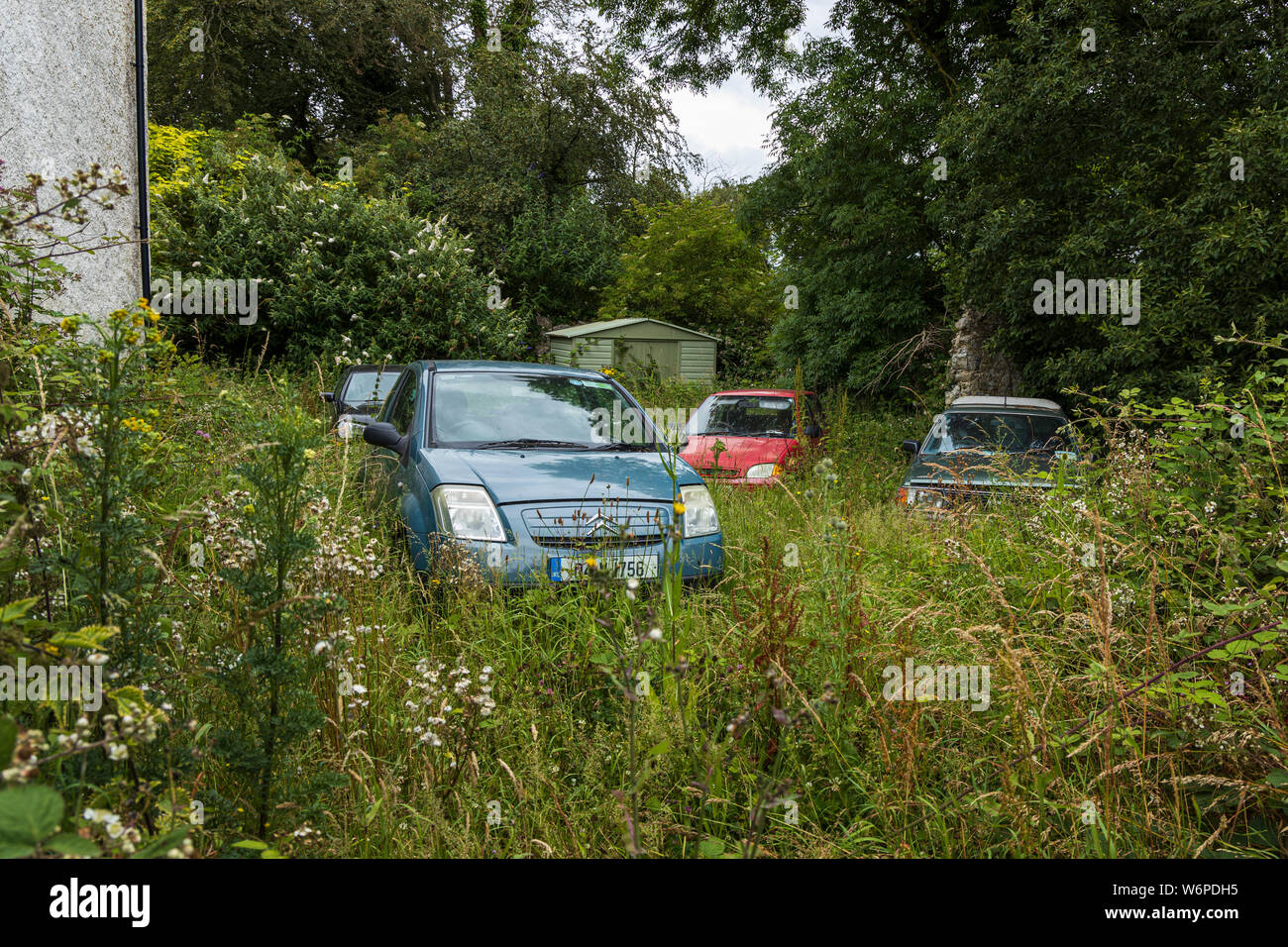 Overgrown gardens hi-res stock photography and images - Alamy