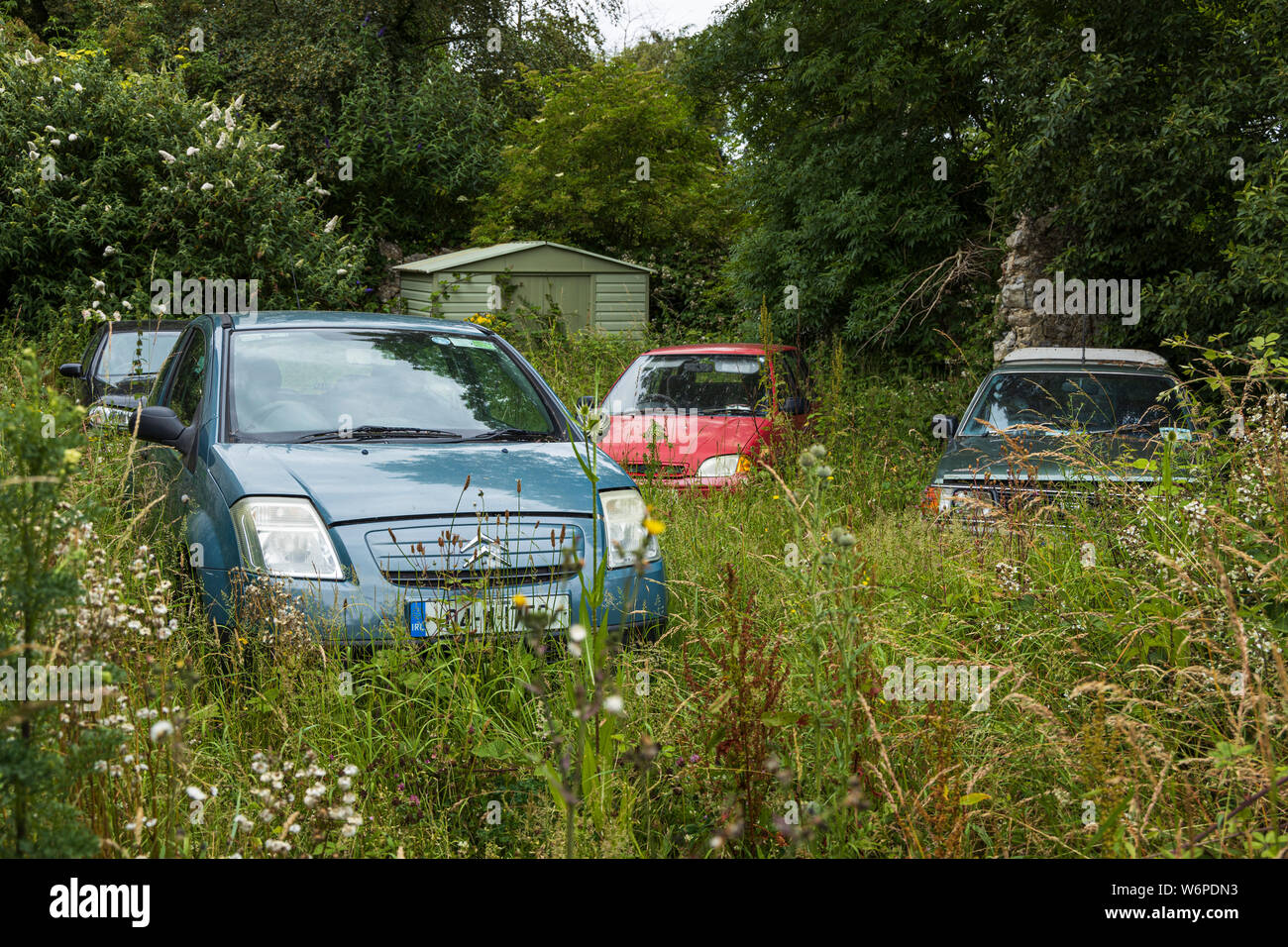 Overgrown gardens hi-res stock photography and images - Alamy