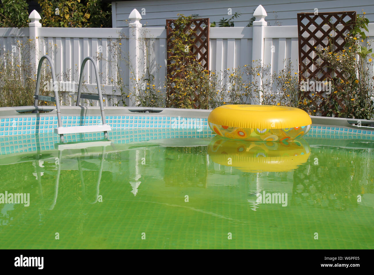 Unkept swimming pool hi-res stock photography and images - Alamy