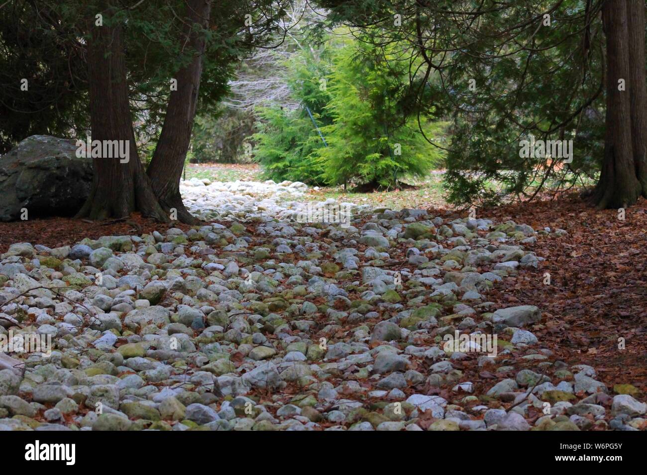 Rock pathway through the forest, ON, Canada Stock Photo - Alamy