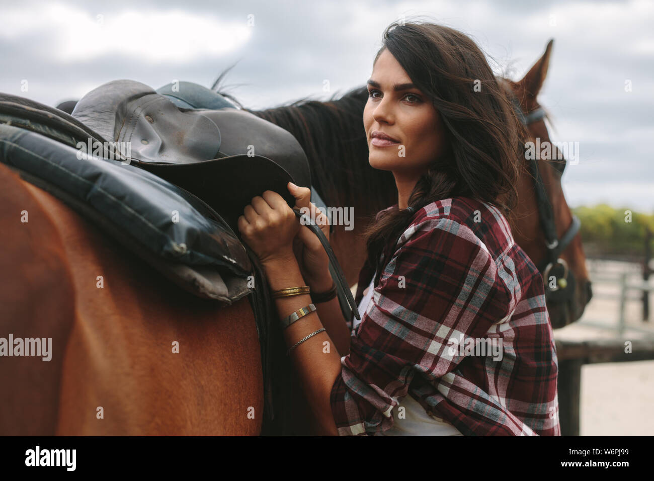 Beautiful young woman fixing a saddle on her horse. Cowgirl getting ...