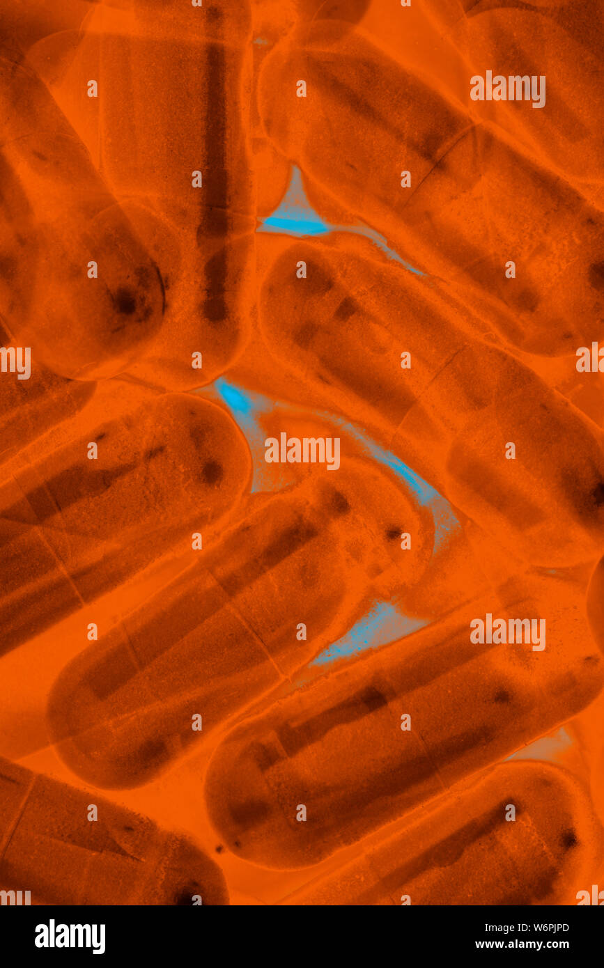 psychedelic multiple image of drug capsules. Please credit: Phillip ...