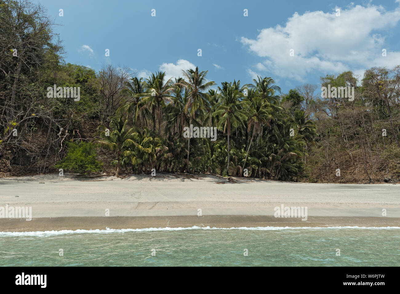 tropical palm beach on the cebaco island panama Stock Photo - Alamy
