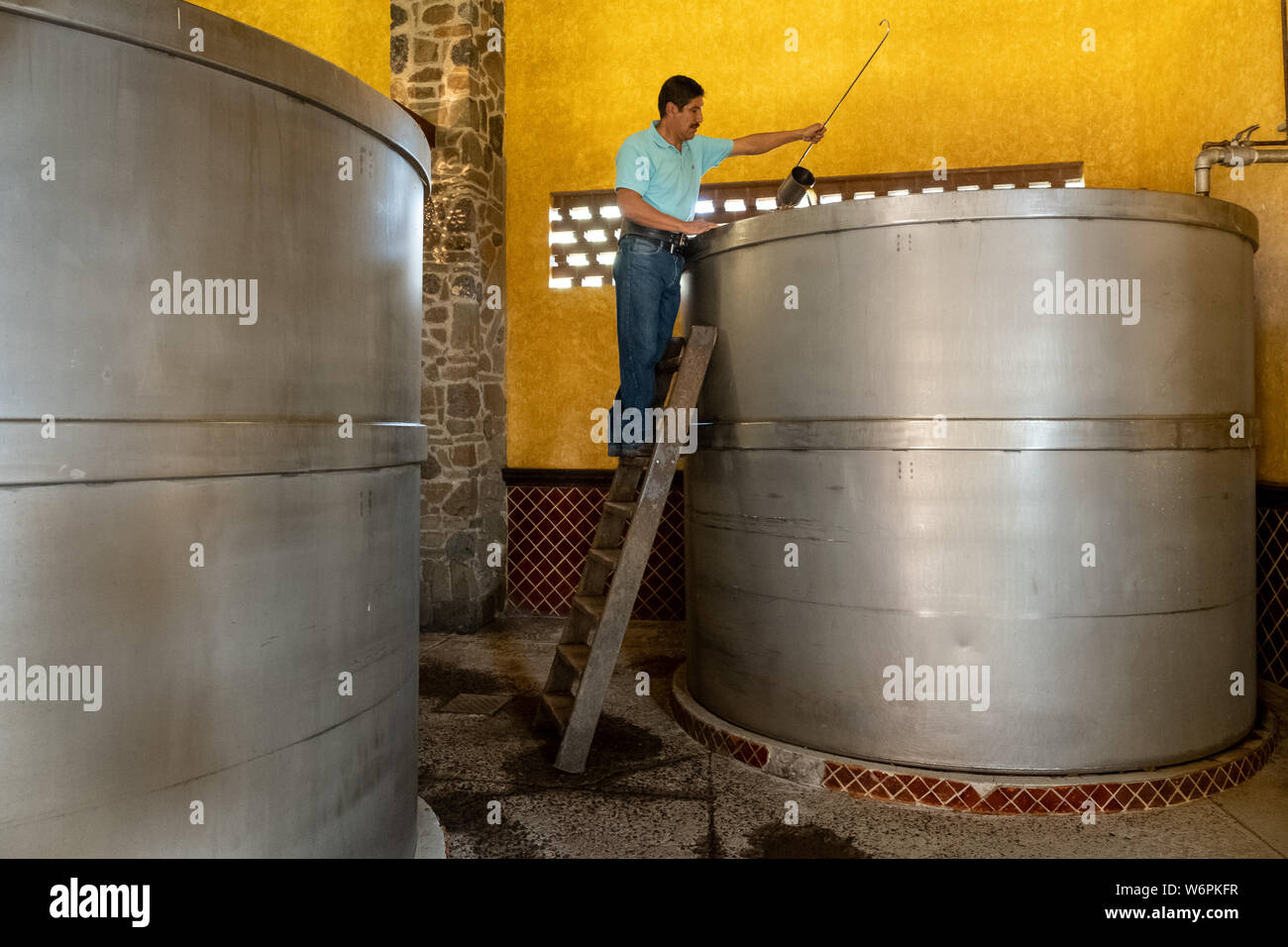 A worker checks fermentation tanks where blue agave mash is fermenting ...