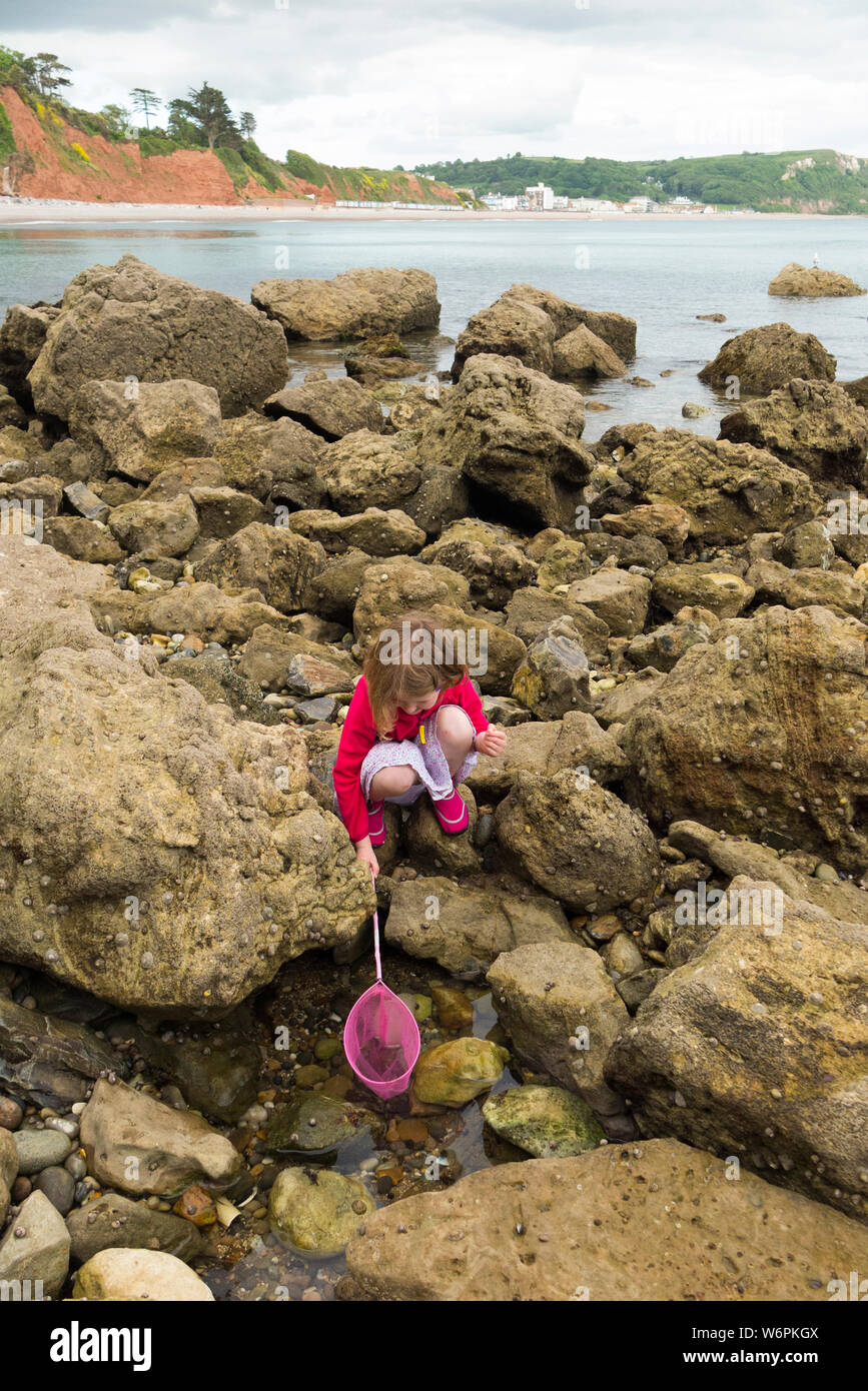 Kids in rock pool uk hi-res stock photography and images - Alamy