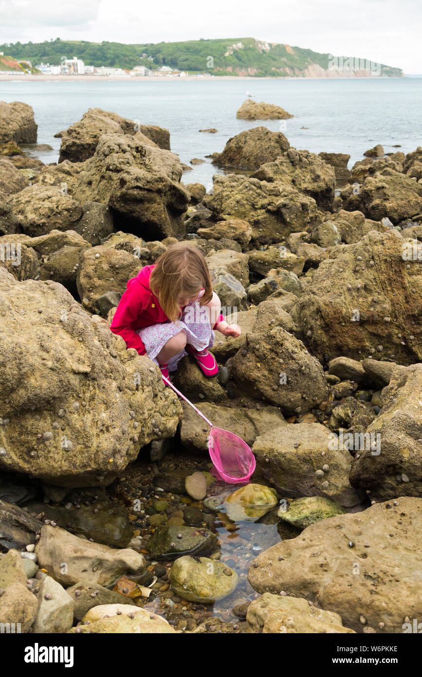 Hunting in rock pools hi-res stock photography and images - Alamy