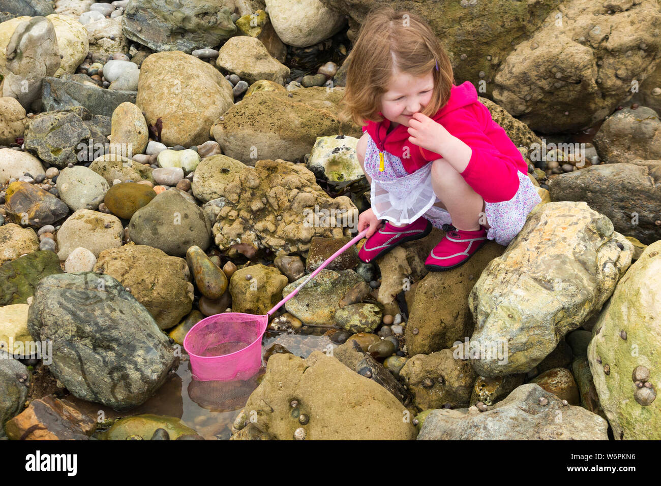Kids in rock pool uk hi-res stock photography and images - Alamy