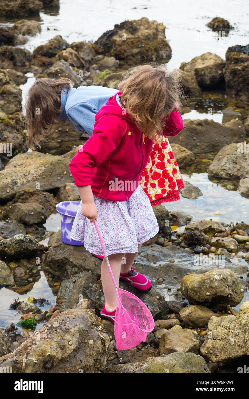 Kids fishing nets on beach hi-res stock photography and images - Alamy