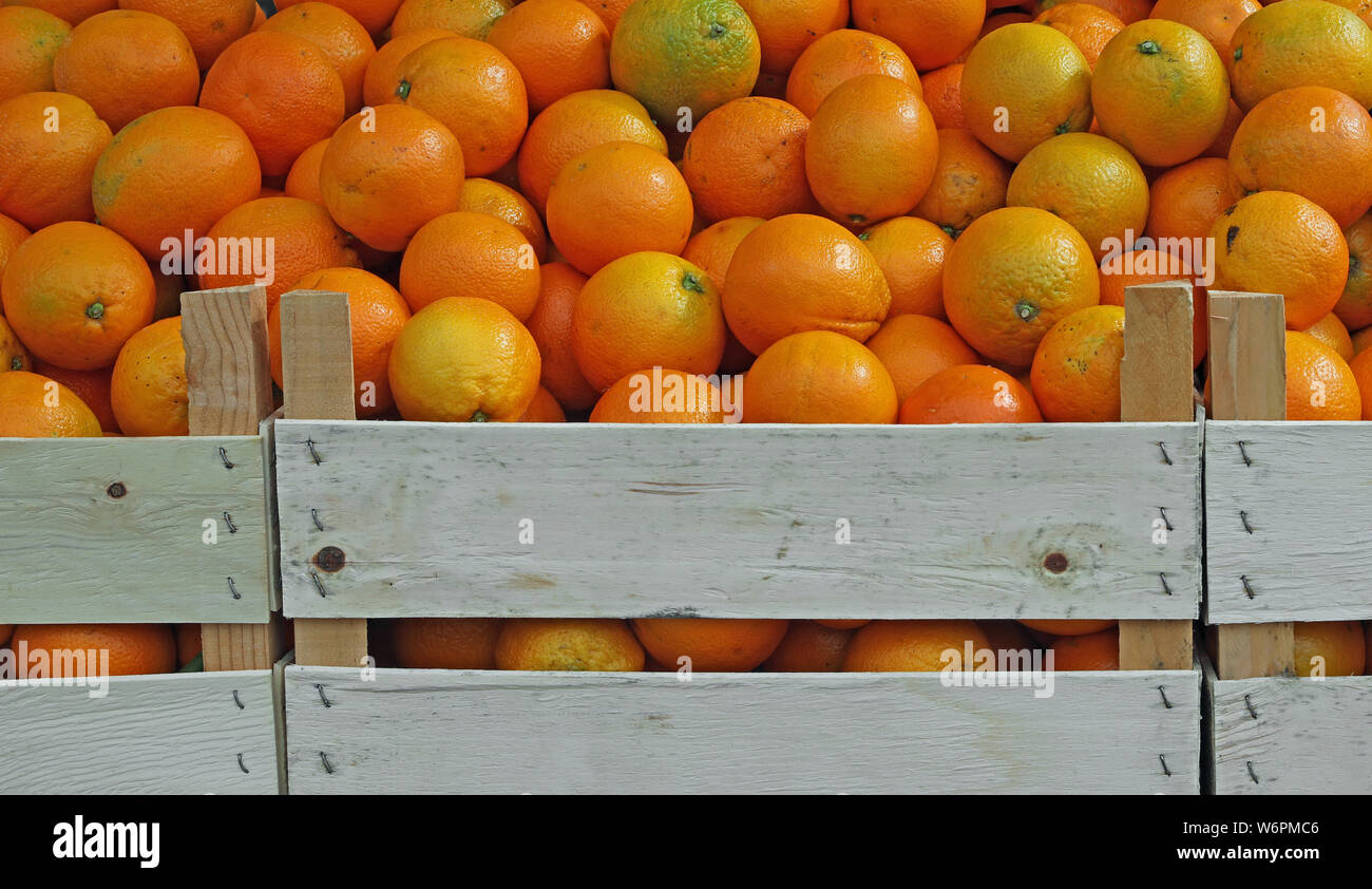 many boxes of ripe oranges for sale at the fruit and vegetable market ...