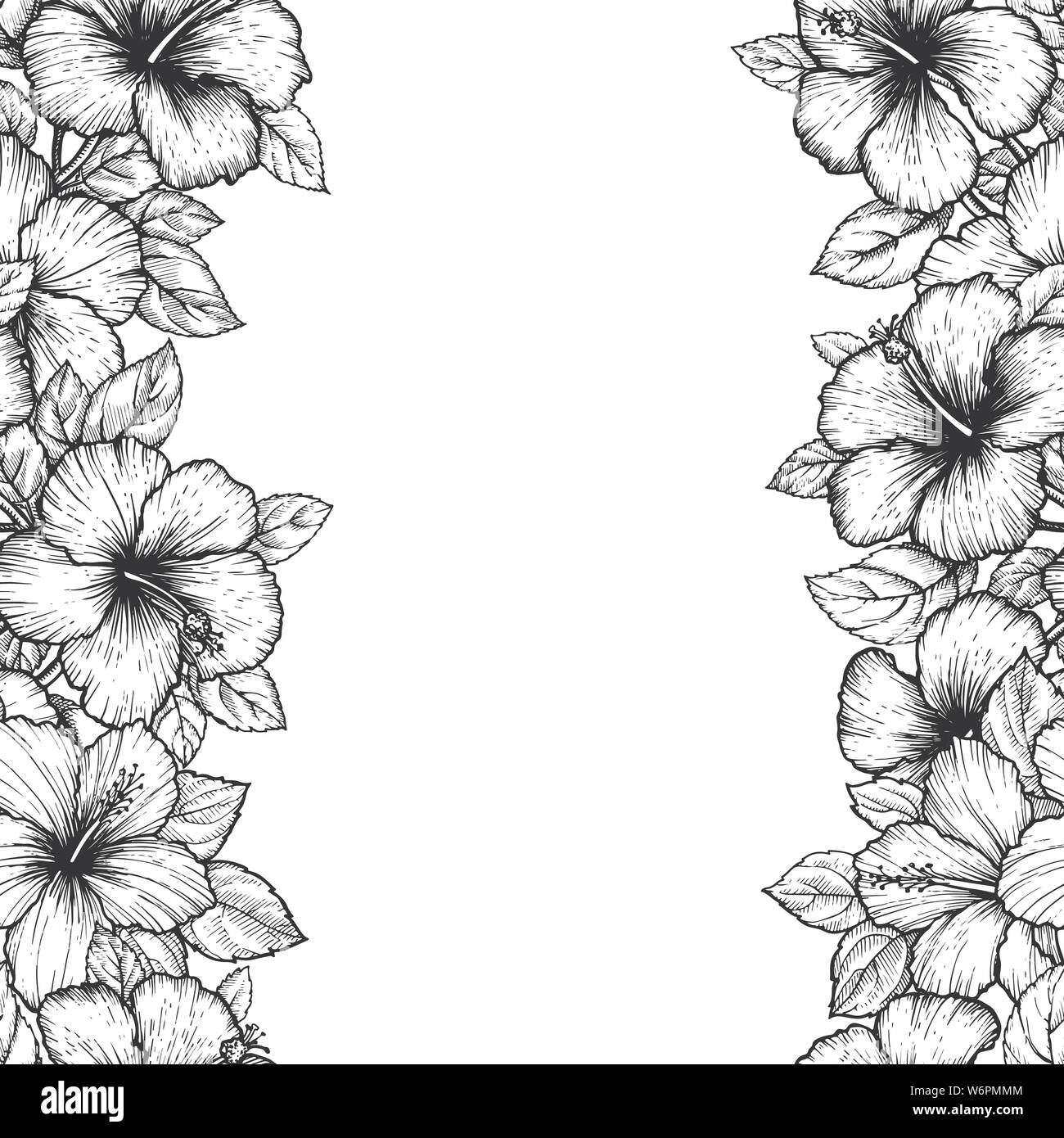 Hibiscus Black And White Border