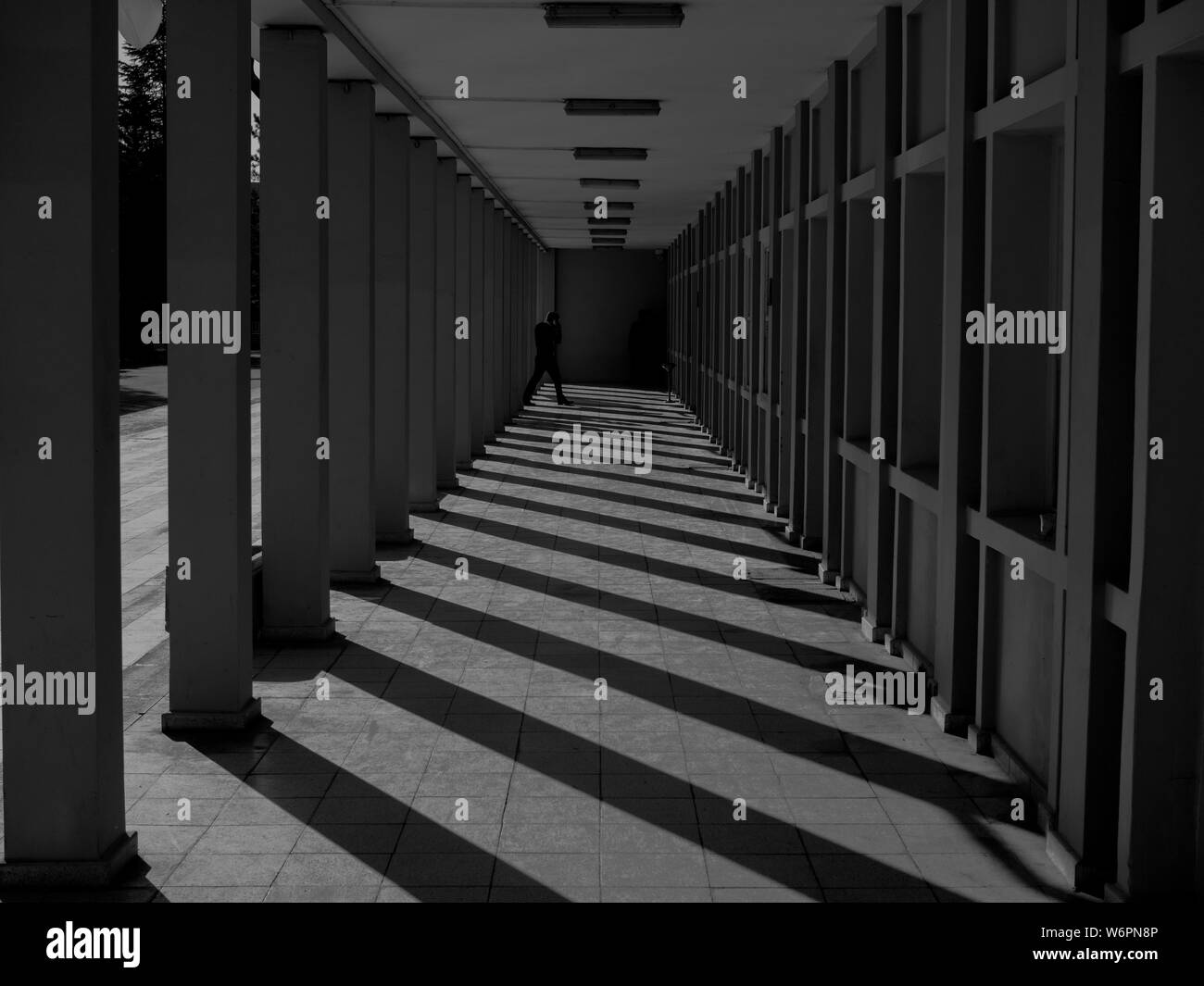 monochrome corridor and columns perspective view Stock Photo - Alamy