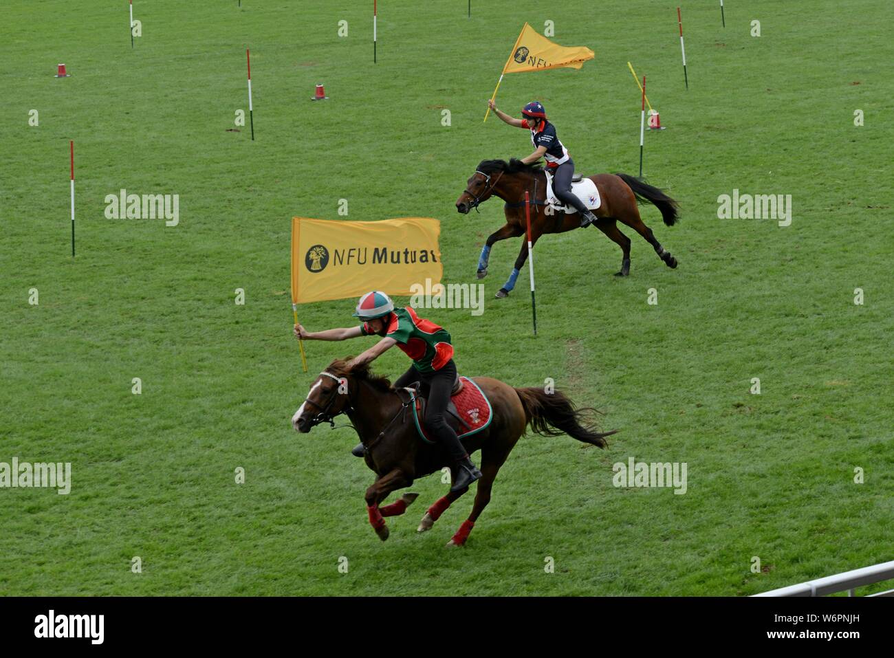 Teams from 7 countries compete in the international mounted games at ...