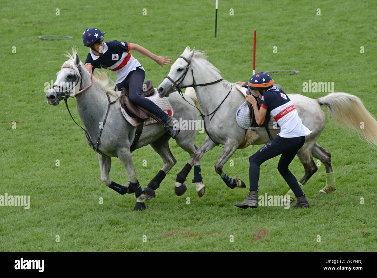 Teams from 7 countries compete in the international mounted games at ...