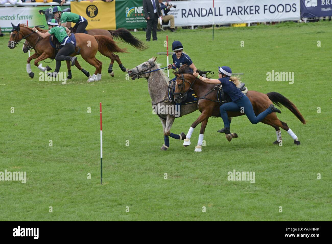 Teams from 7 countries compete in the international mounted games at ...