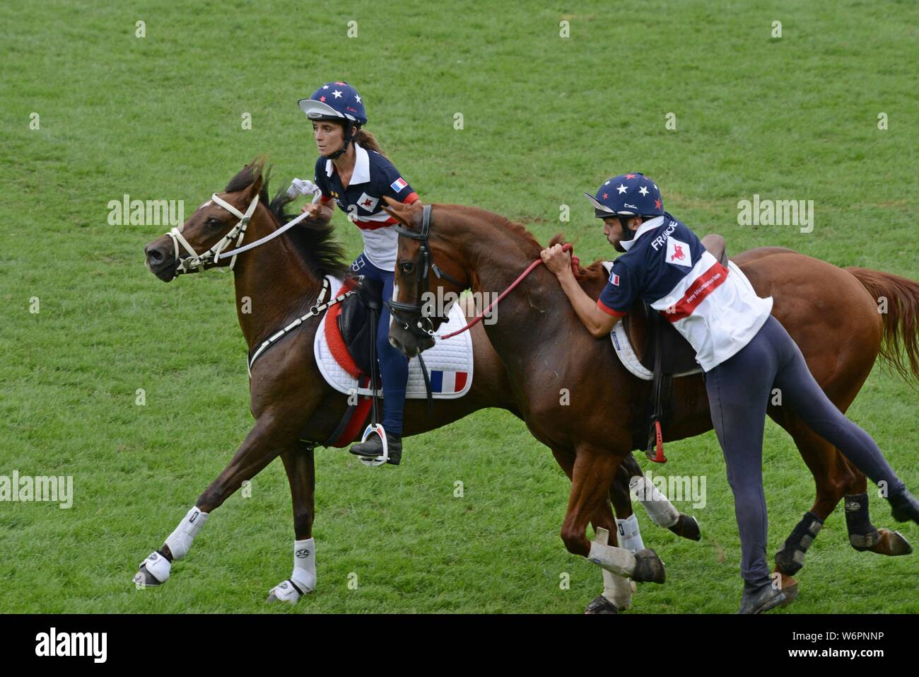 Teams from 7 countries compete in the international mounted games at ...