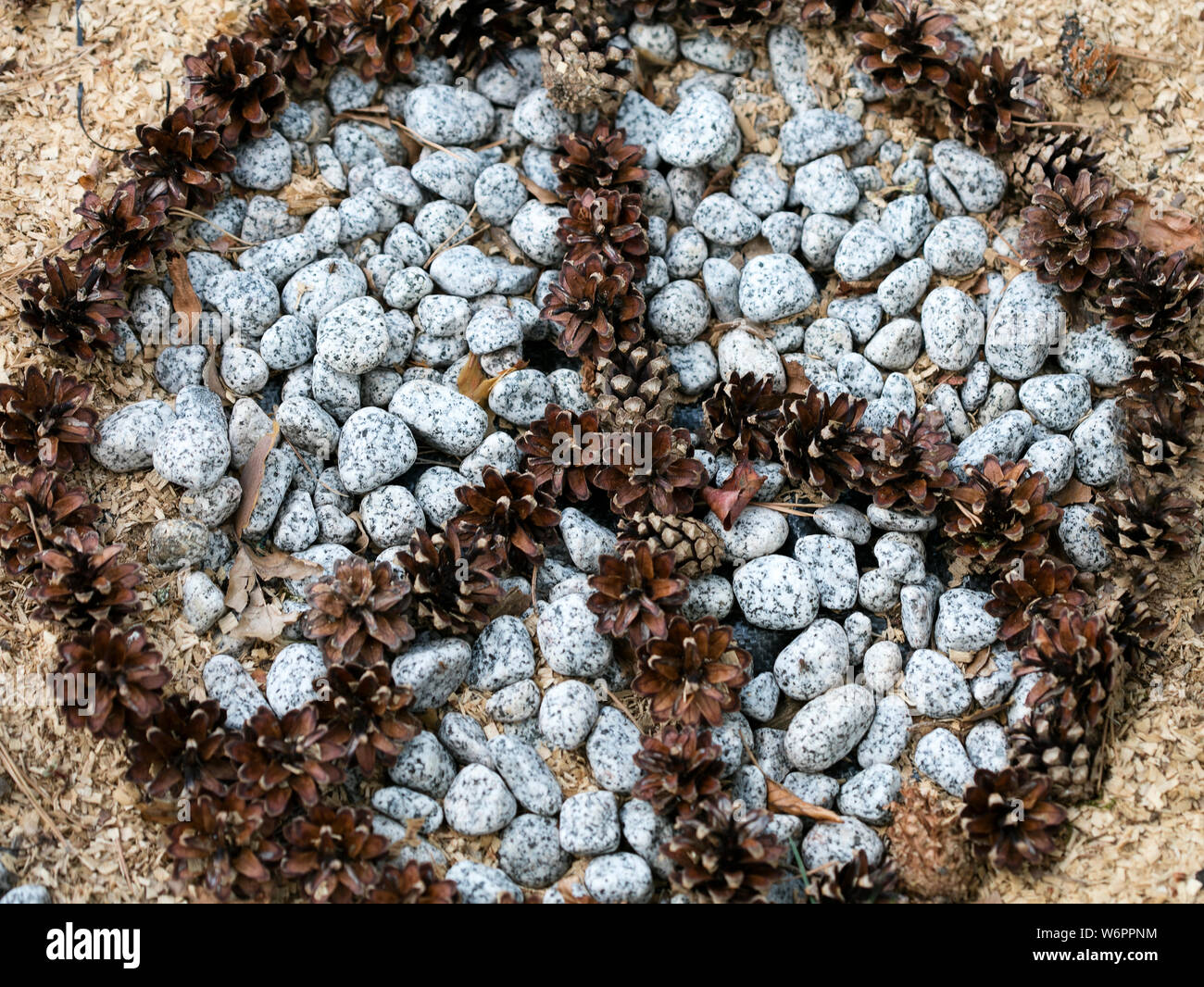 Peace symbol with stones and pines cones macro background fine art in ...