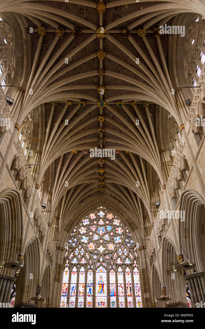 Looking down the nave and tierceron vaulted / tierceron vault ceiling ...
