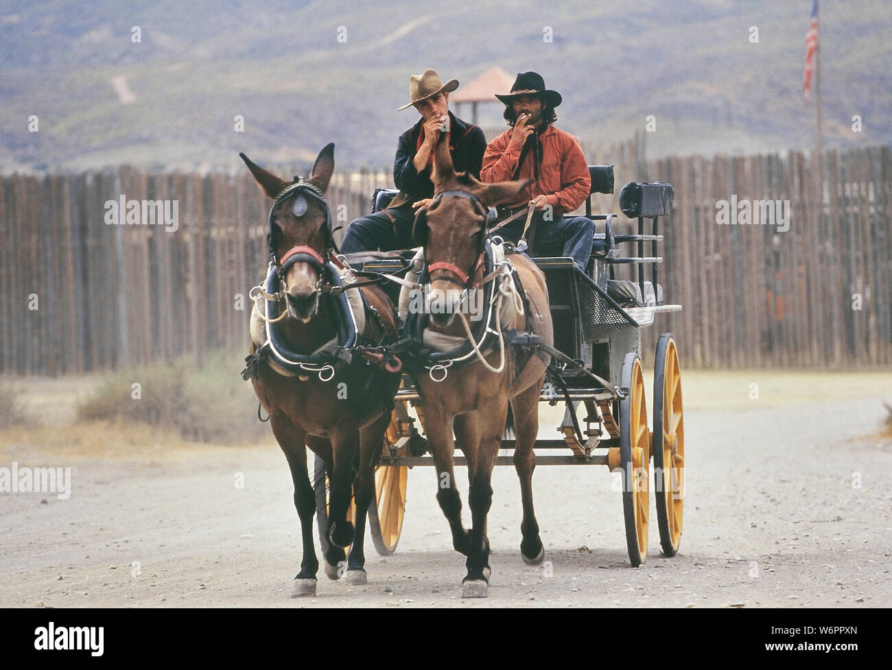 Cowboy smoking with horse hi-res stock photography and images - Alamy