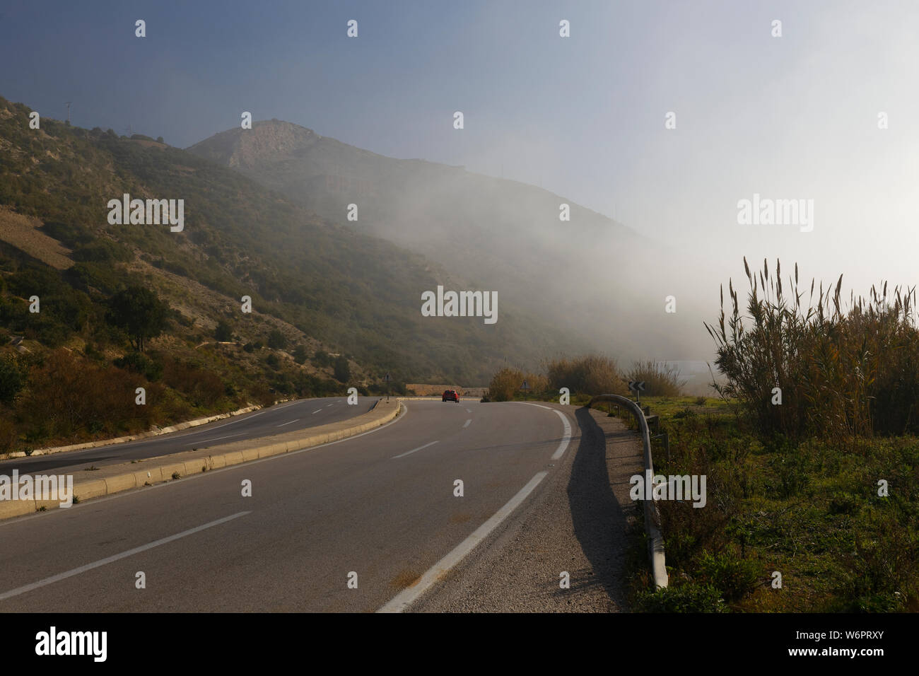 Roadside vegetation in Morocco few miles away from Tangier on the ...
