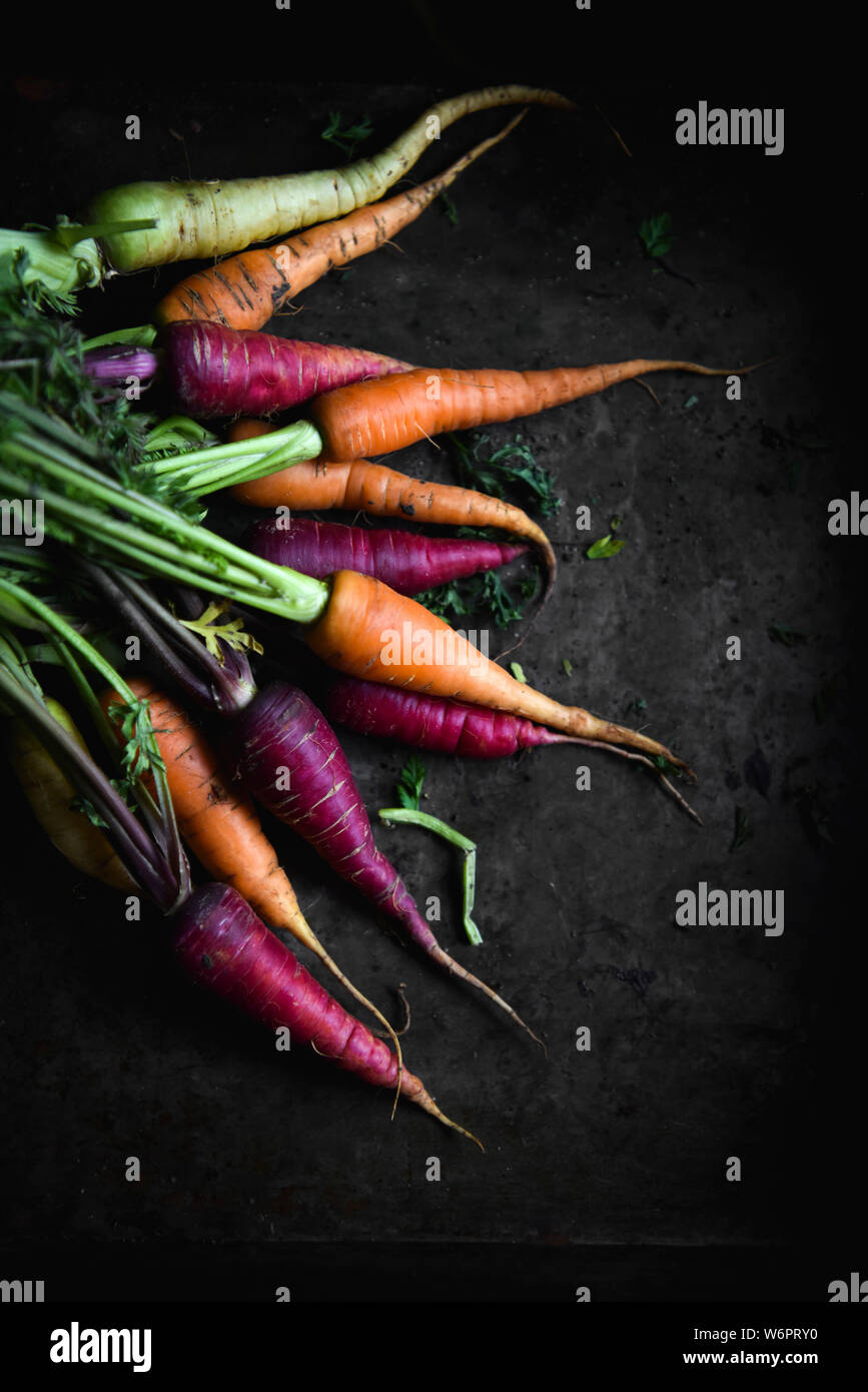 Multi coloured carrots on a dark background, raw Stock Photo - Alamy
