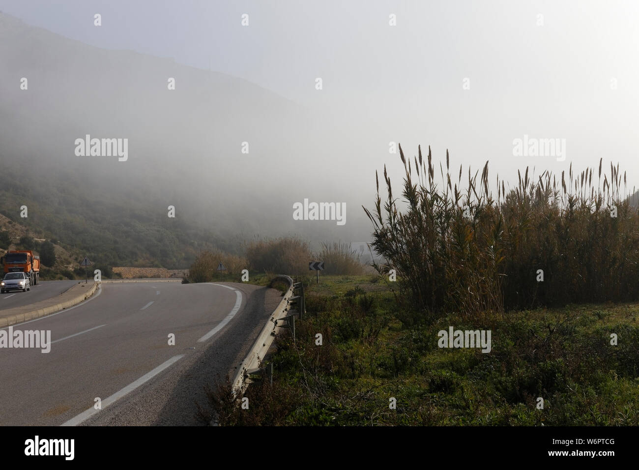 Tangier morocco garden hi-res stock photography and images - Alamy