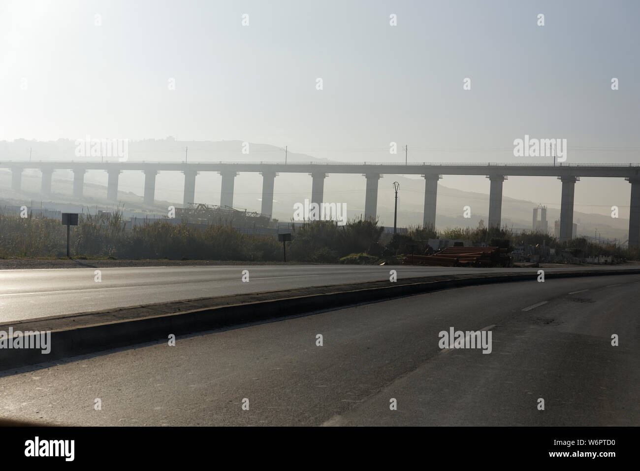 Roadside vegetation in Morocco few miles away from Tangier on the ...