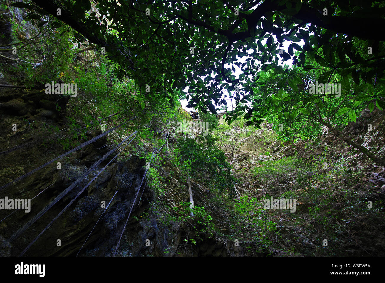 Jomblang cave near Yogyakarta city, Java, Indonesia Stock Photo - Alamy