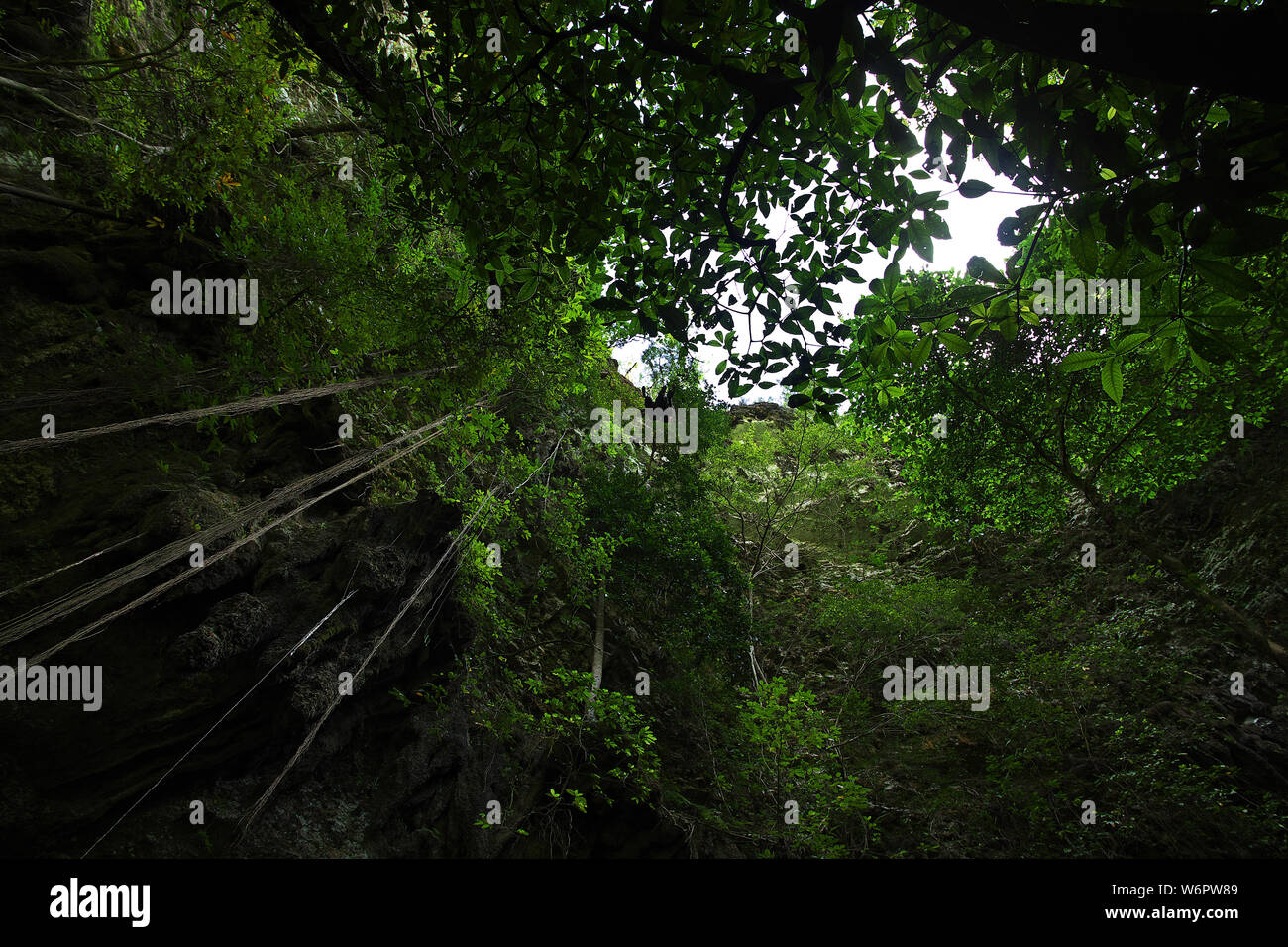 Jomblang cave yogyakarta hi-res stock photography and images - Alamy